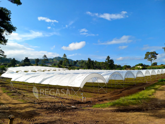 Regasa - Innovative Agricultural Solutions Worldwide - REGASA